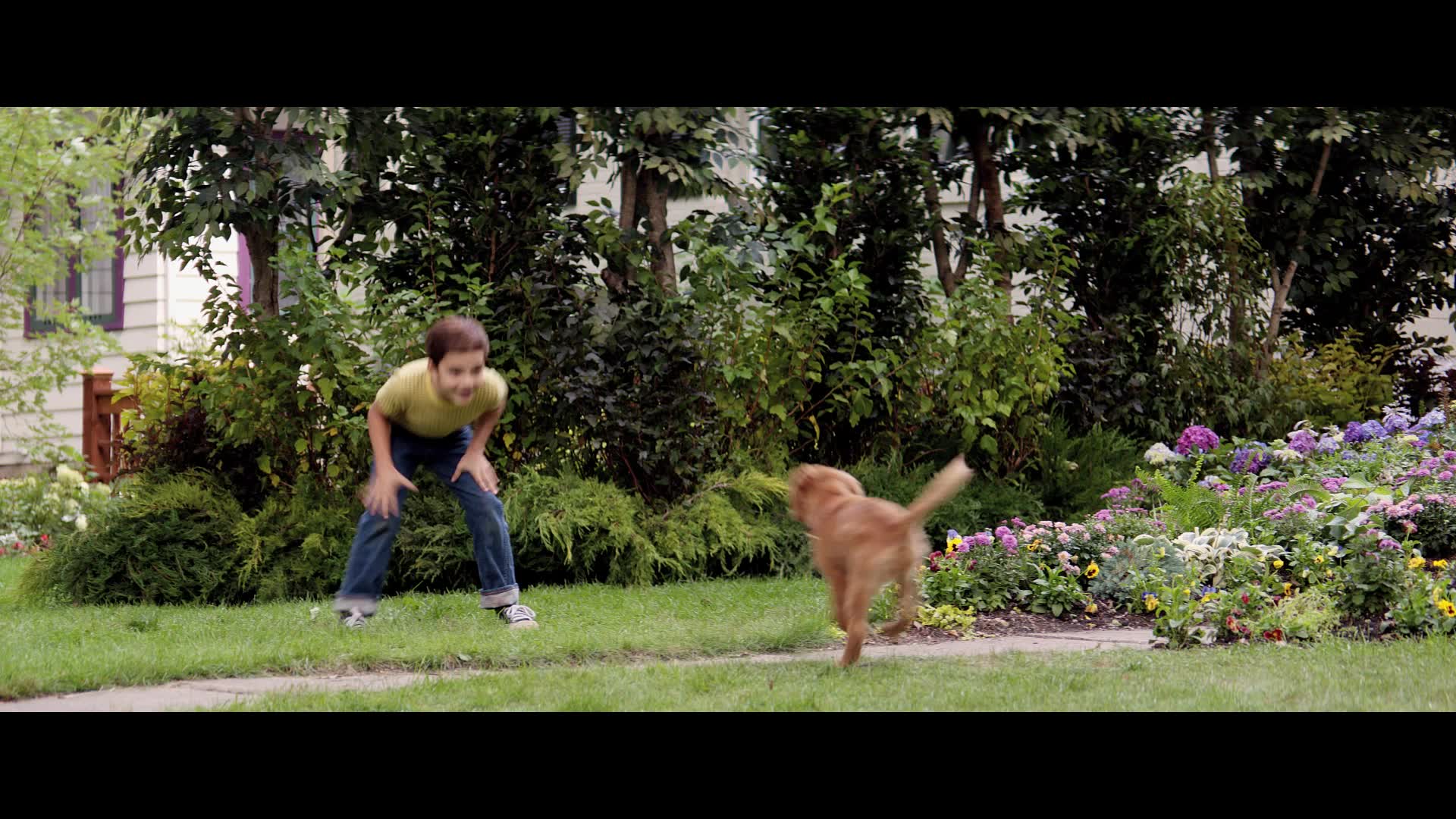 Quando le parole prendono vita: Qua la zampa